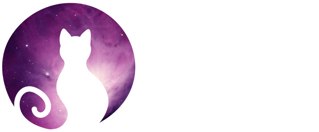 Regnum Studio - Bahraini Indie Game Development Studio